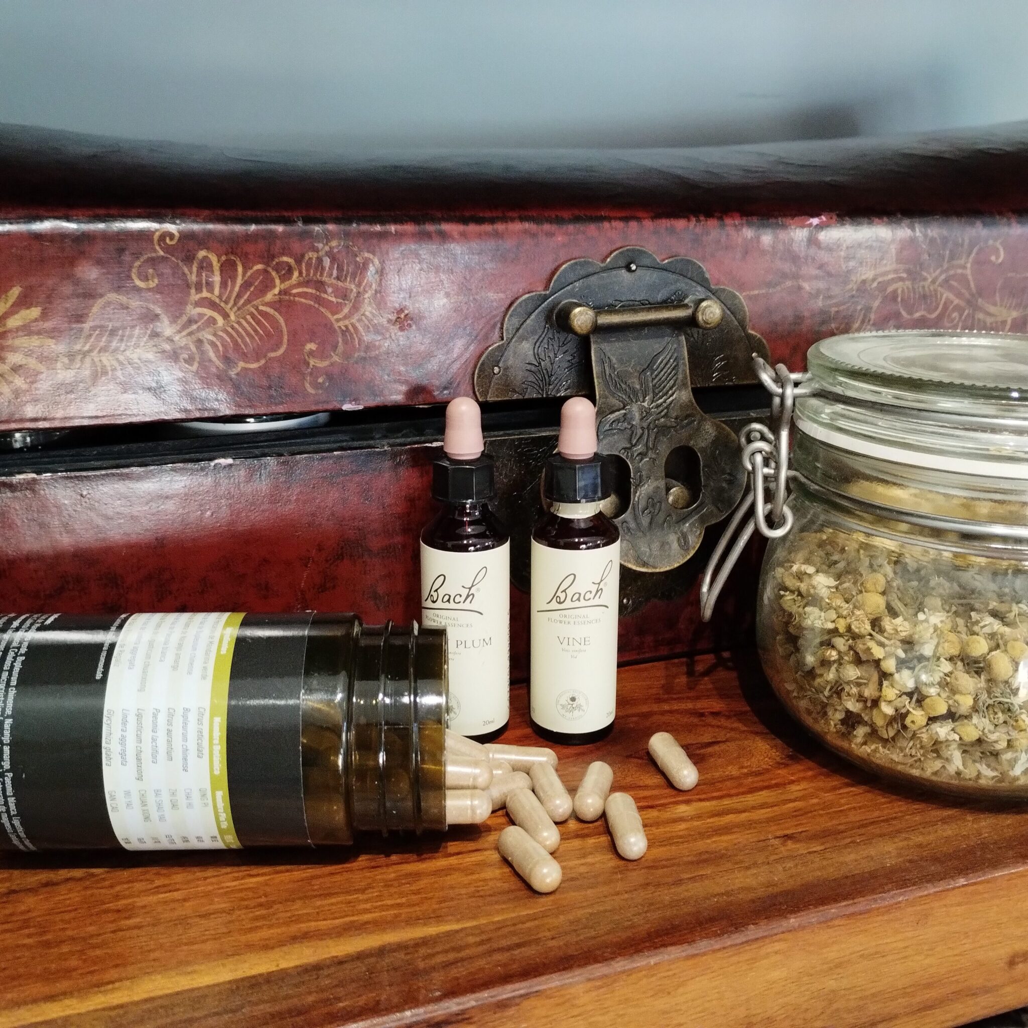 Propiedades medicinales del BOLDO (Peumus Boldo)