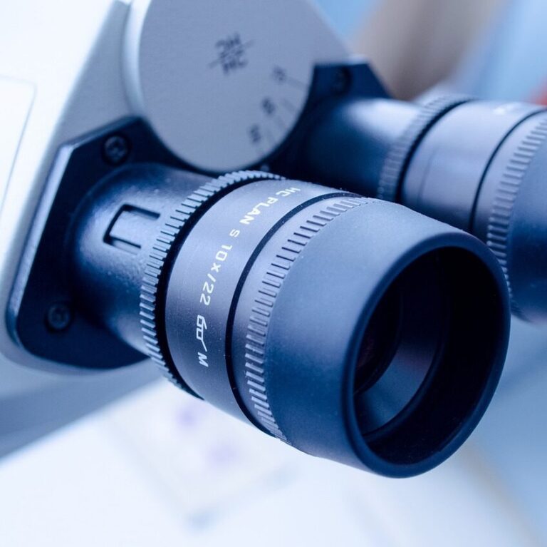 Propiedades medicinales del BOLDO (Peumus Boldo)