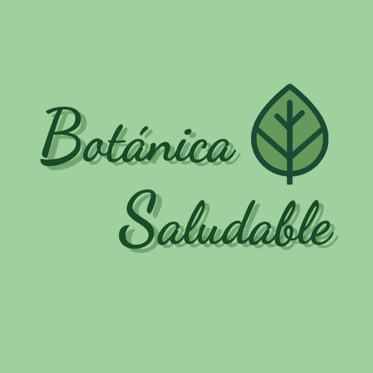 Propiedades medicinales de LAVANDA (Lavandula Angustifolia)